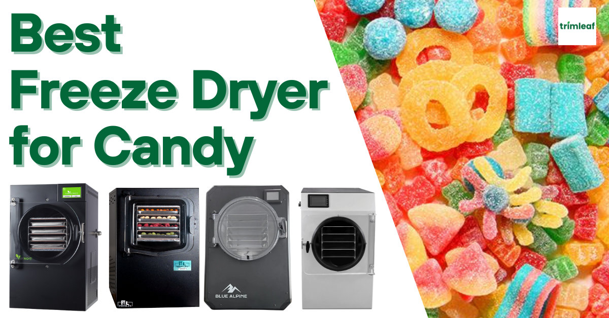 Best Home Freeze Dryers - Best Brands and Top Picks