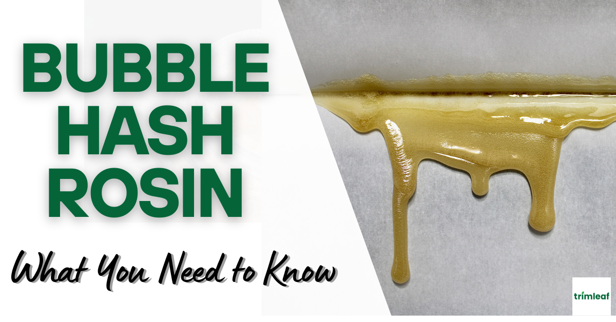 Bubble Hash Rosin: What You Need to Know