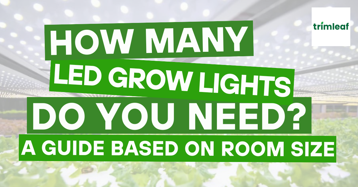What You Need to Know About HPS vs. LED Grow Lights