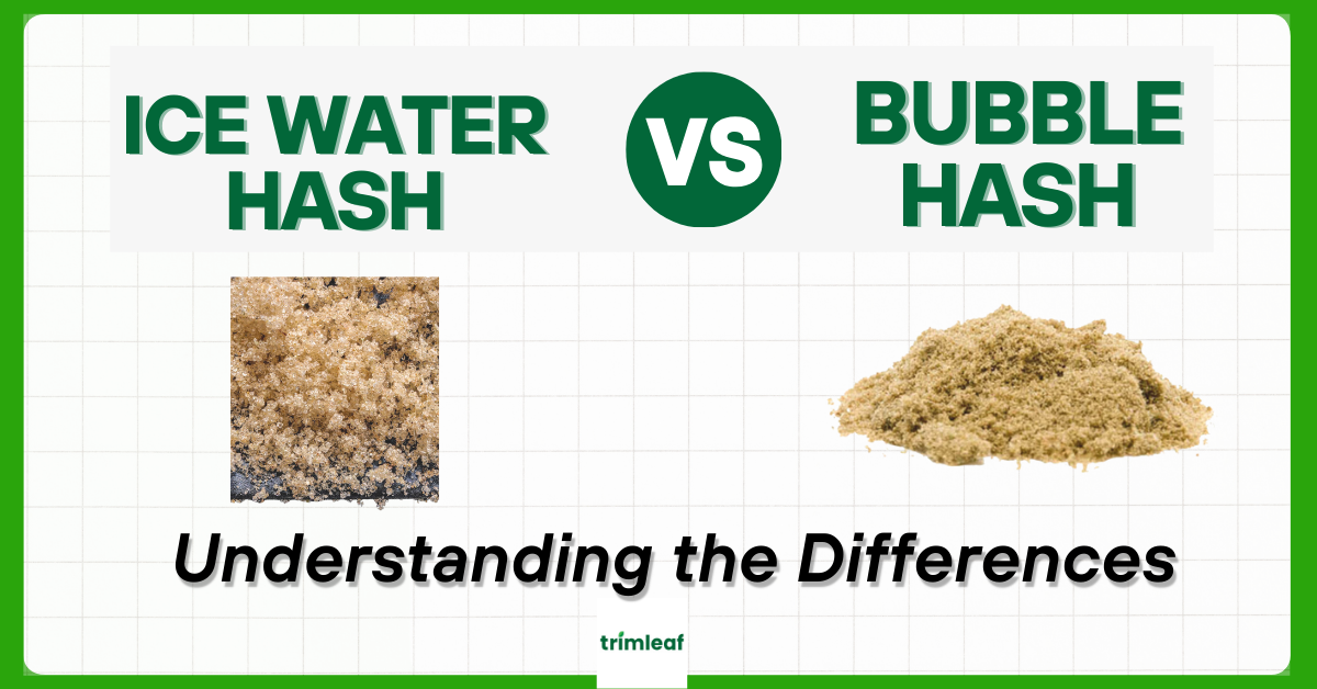 Ice Water Hash vs. Bubble Hash – Understanding the Differences
