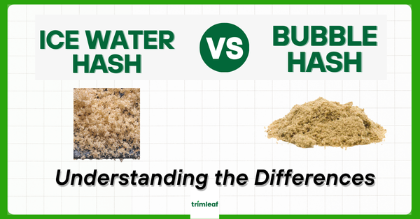 Ice Water Hash vs. Bubble Hash – Understanding the Differences