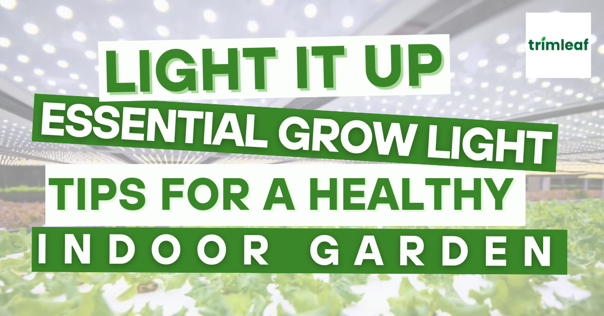 Light it up: Essential Grow Light Tips for a Healthy Indoor Garden