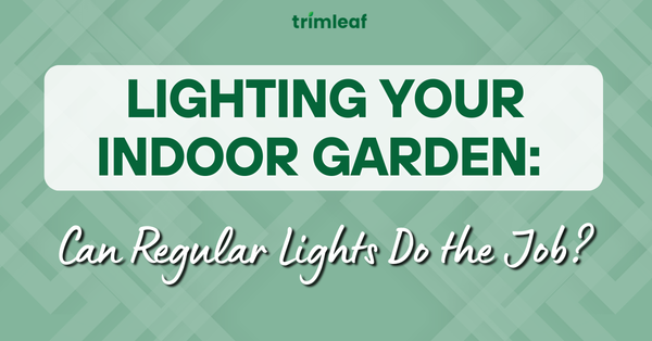 Lighting Your Indoor Garden: Can Regular Lights Do the Job?