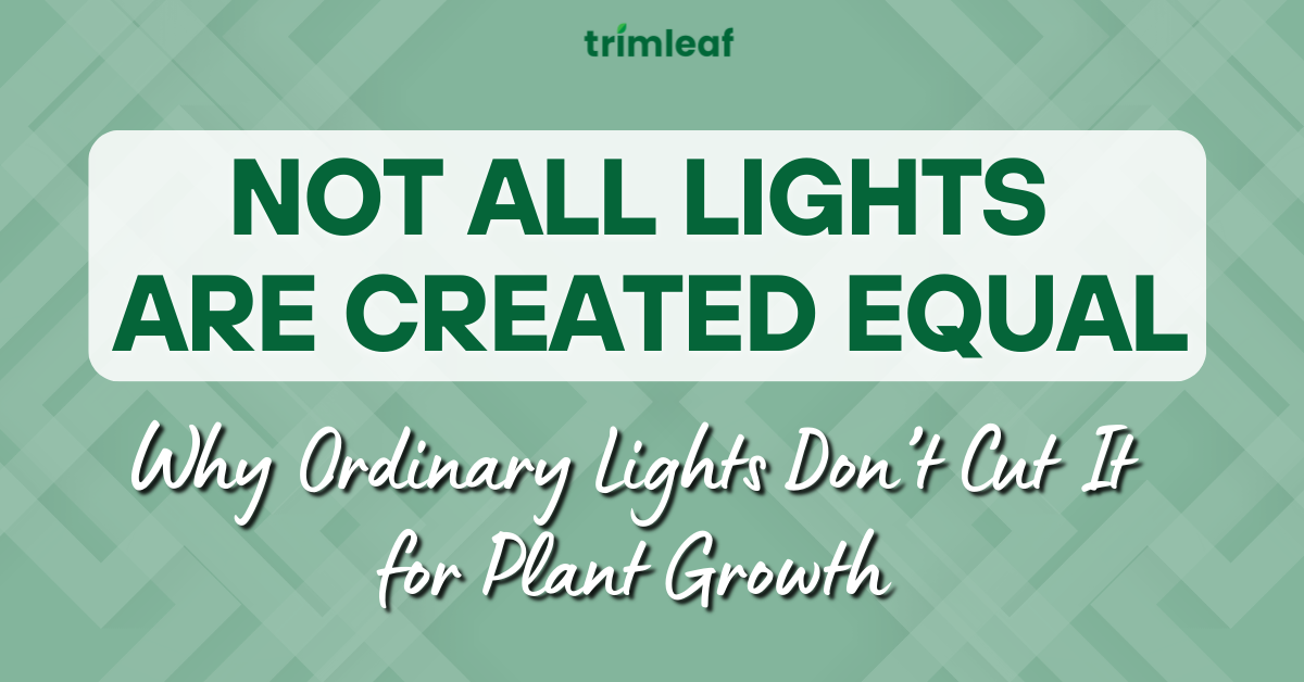 Not All Lights Are Created Equal: Why Ordinary Lights Don’t Cut It for