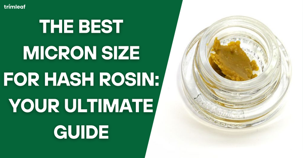 The Best Micron Size for Hash Rosin: Your Ultimate Guide