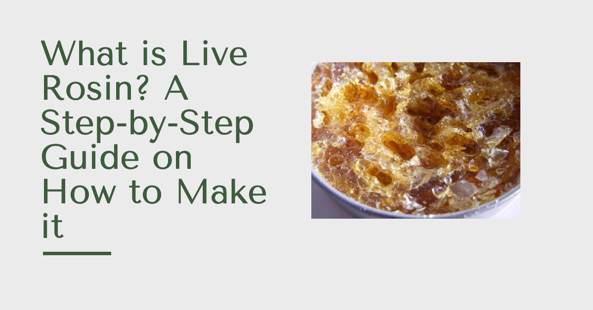 What Is Live Rosin And How To Make Live Rosin