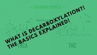What Is Decarboxylation?! The Basics Explained
