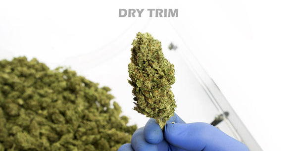 The Original Resinator