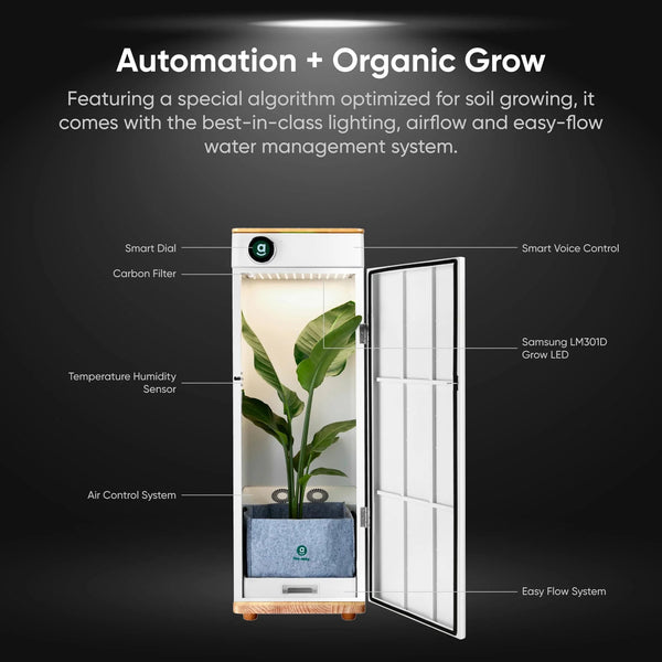 Hey abby Soil Edition | Automated Organic Indoor Grow Box
