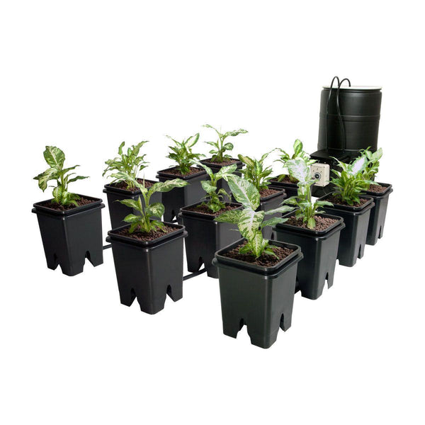 Active Aqua Grow Flow 12 Site Ebb & Flow System | 5 Gallon Complete Kit