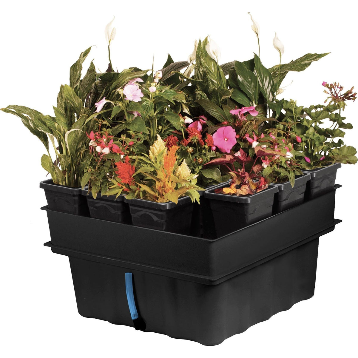 Active Aqua MegaGarden Ebb & Flow Hydroponic Grow System