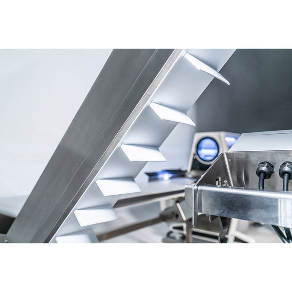 Mobius Autofeed Conveyor | Boost Trimming Efficiency